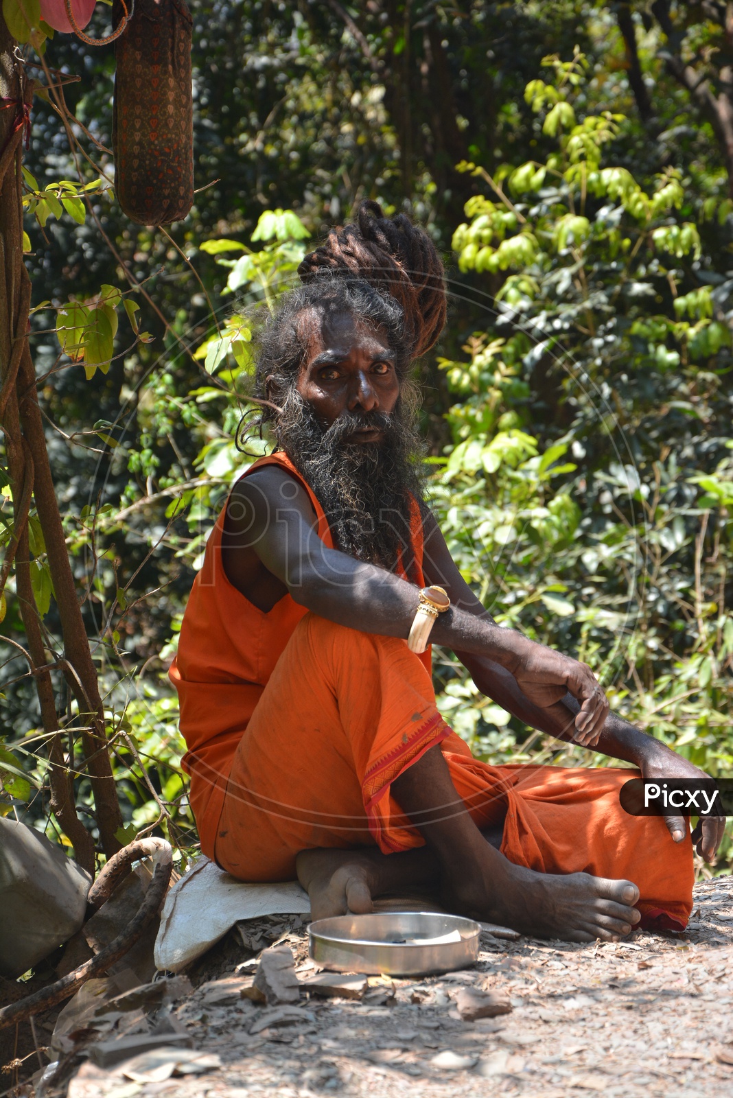 Image of Sadhu at Saleshwaram Jatara-DT815396-Picxy