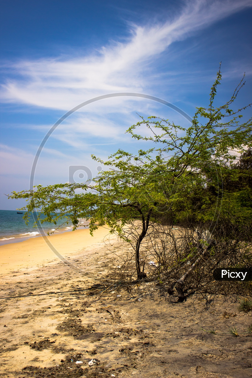 Image of Vembar Beach-DH819489-Picxy