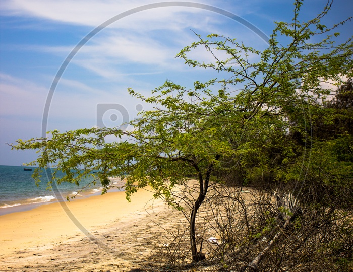 Image of Vembar Beach-DH819489-Picxy