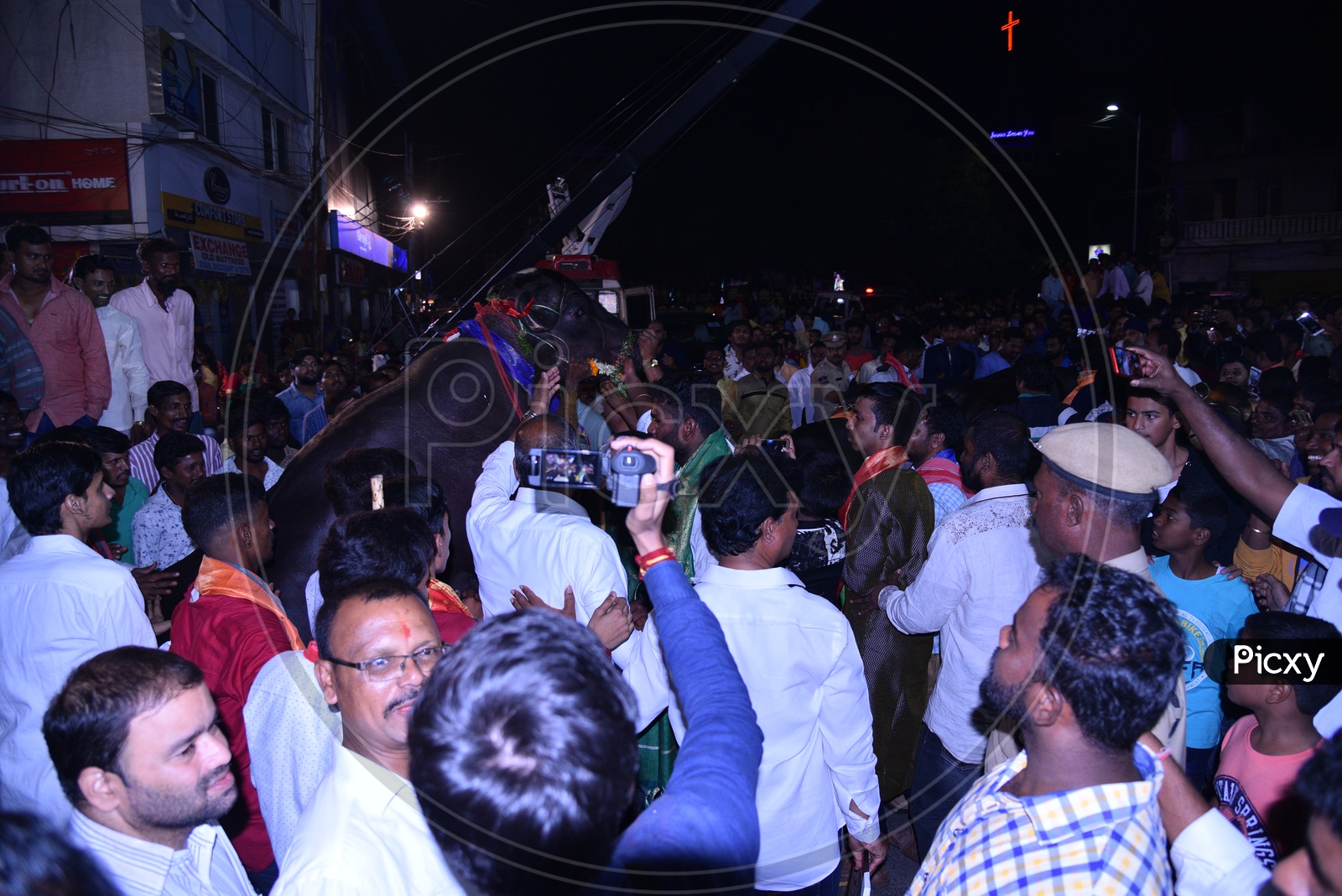 Image of People of Yadav Community try to make the Bison stand on two ...