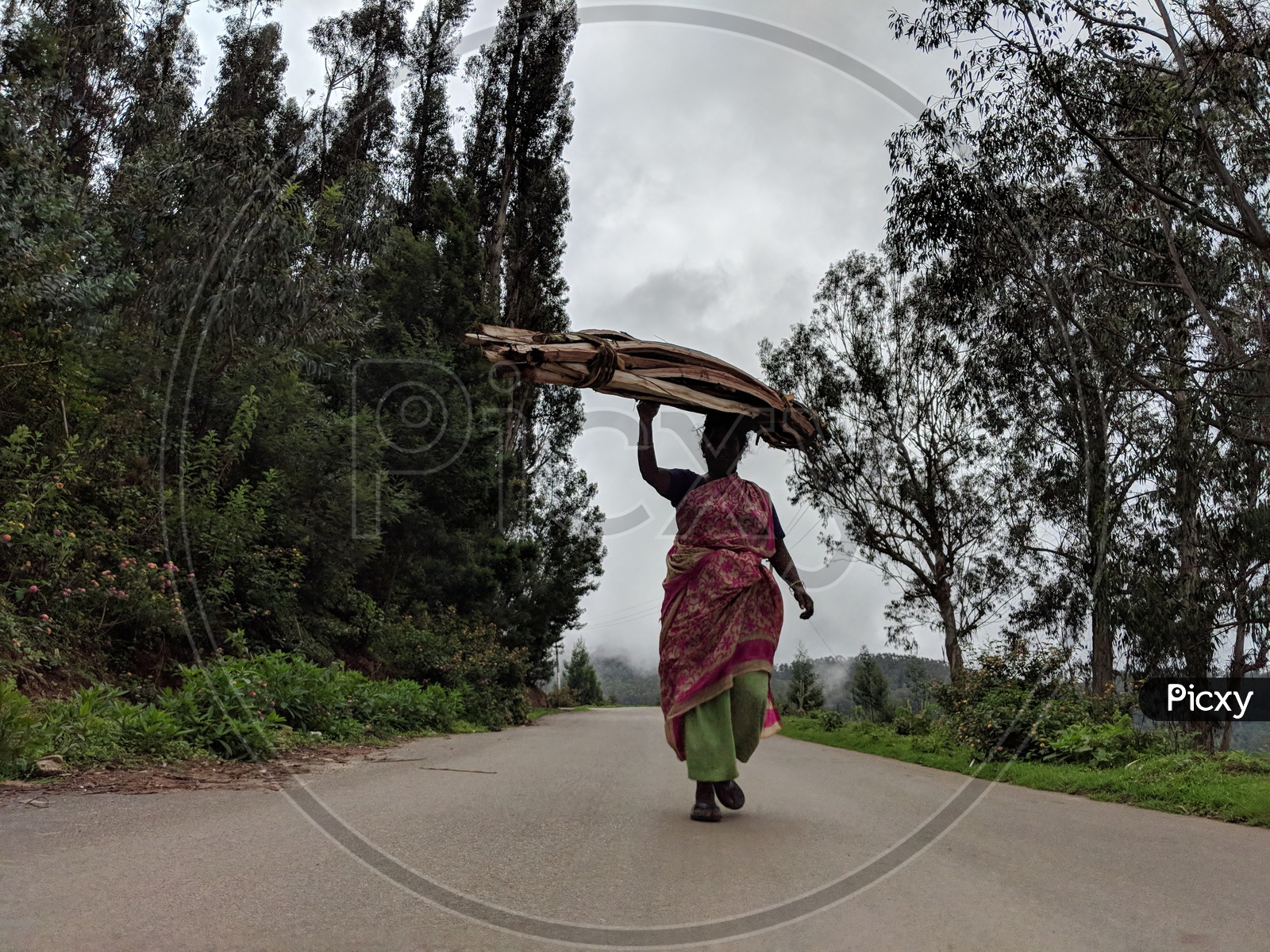 Image of Indian Villager - Woman carrying logs of wood-EQ819377-Picxy
