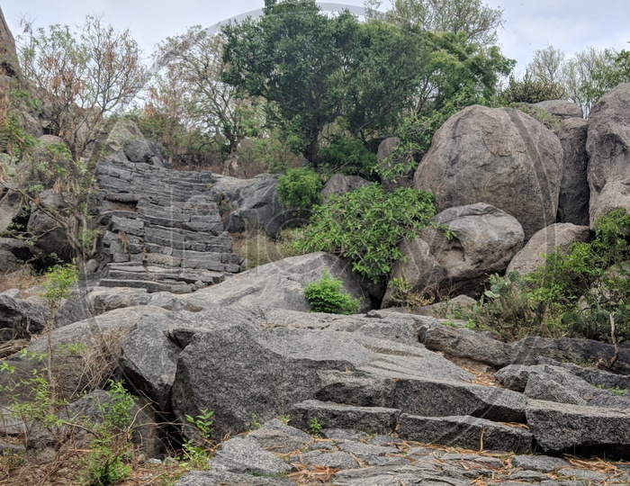 Image of Ancient Pathways-IC594047-Picxy