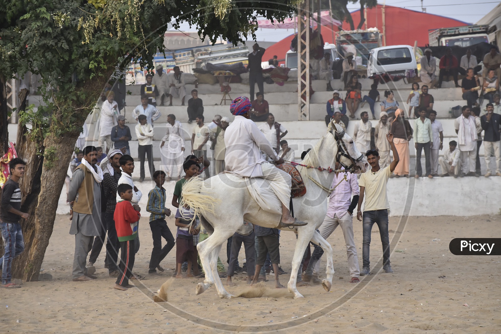 Image of Horse Race at Pushkar Camel Fair-IT199929-Picxy
