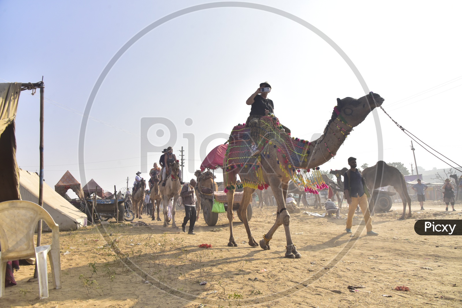 Image of Visitors Riding Camels at Pushkar Camel Fair, 2018-TT473468-Picxy