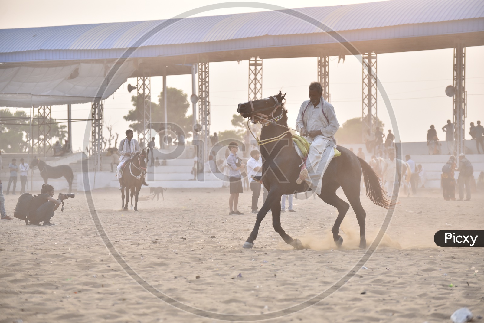 Image of Horse race at Pushkar Camel Fair, 2018-XM746377-Picxy