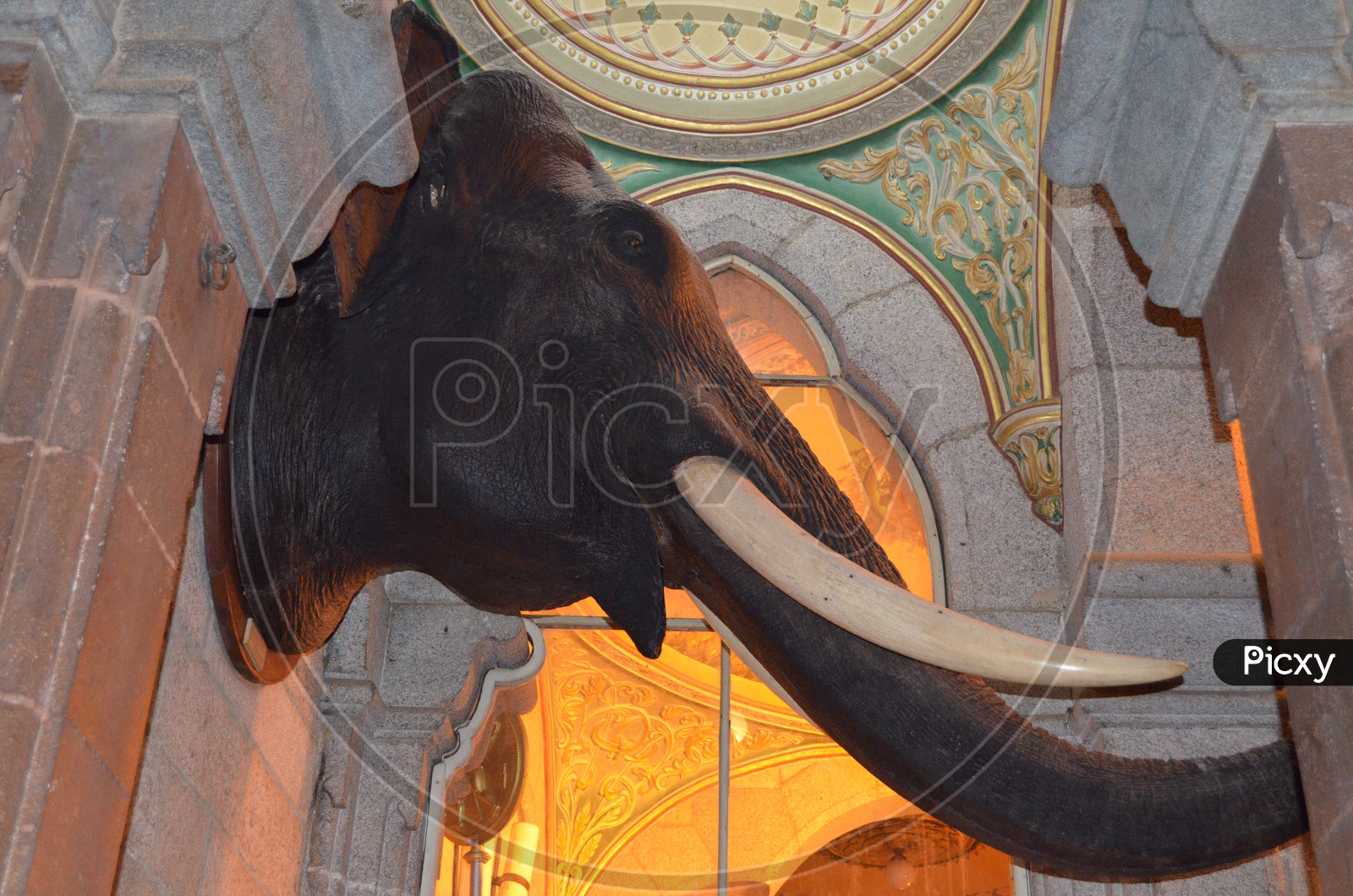 Image of Mysore Palace - Elephant head-XE158163-Picxy