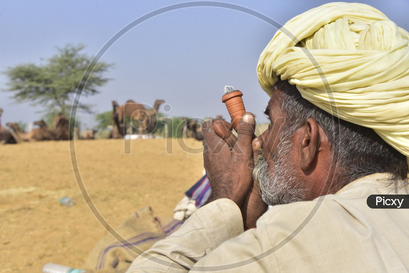 Image of Man smoking at Pushkar Camel Fair-TV779627-Picxy