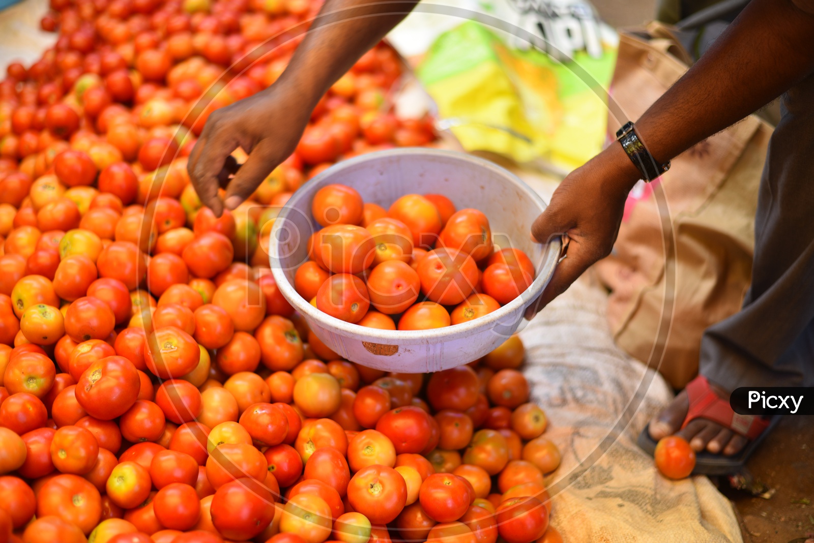 Image of Tomato/Tomatoes at Local Vegetable Market/Rythu Bazar-TG101218 ...