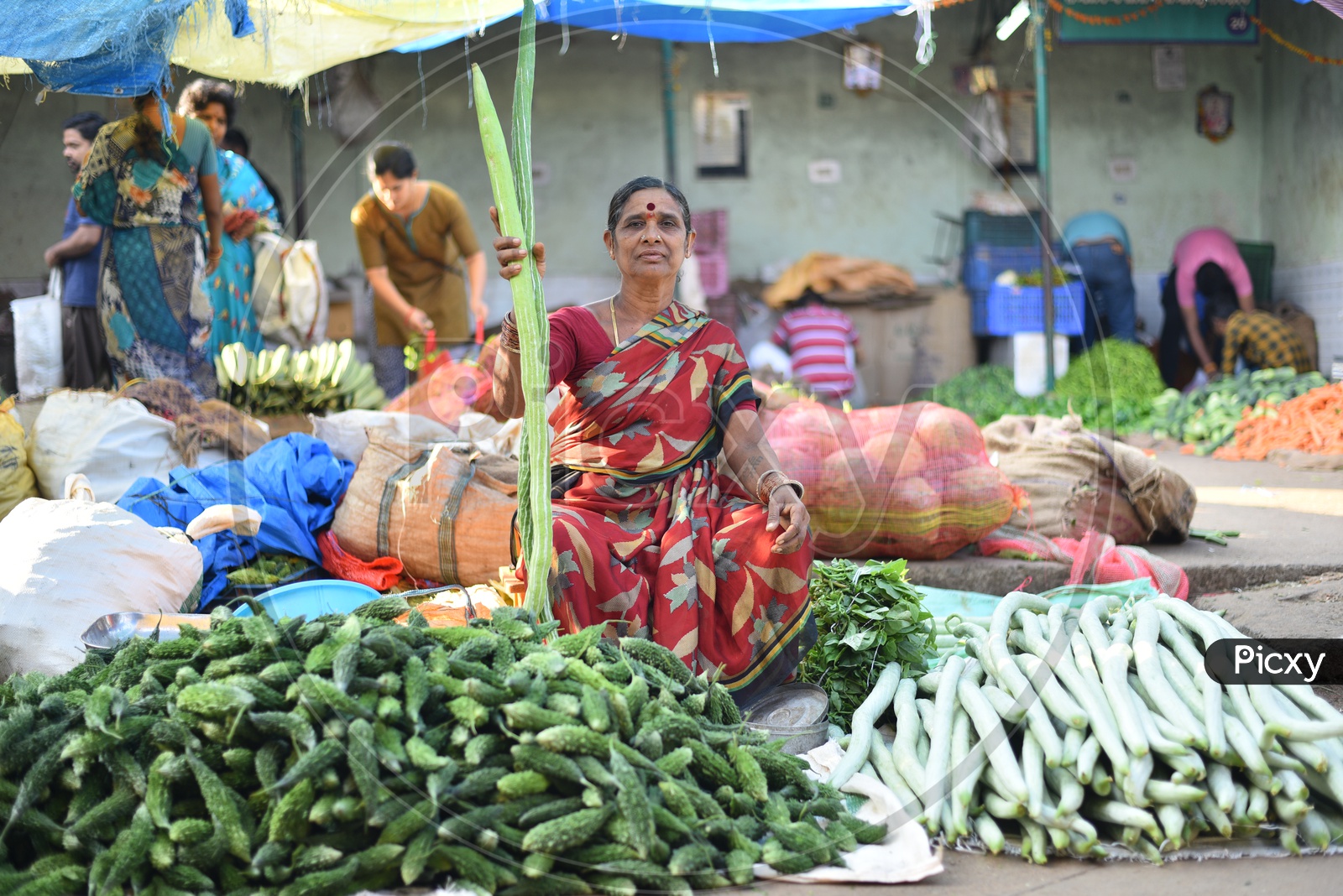 Image of Vegetable Seller holding snake gourd at Local Market/Rythu ...