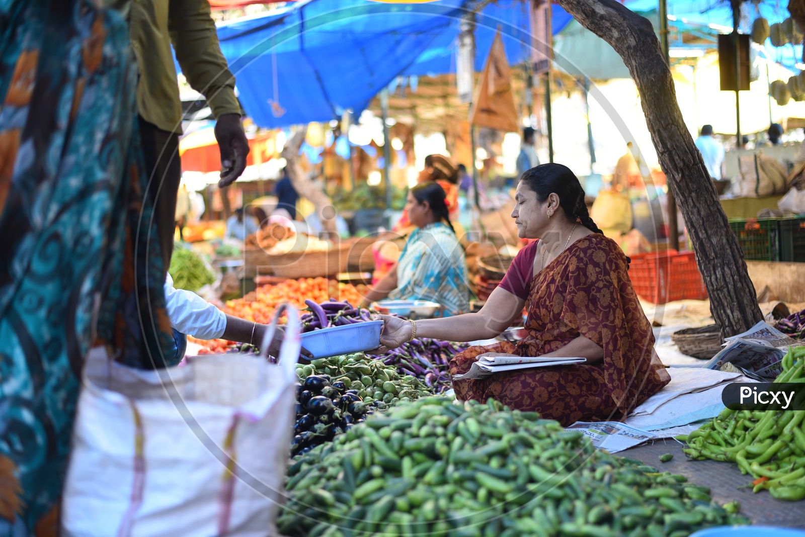 Image of Vegetable Seller at Local Market/Rythu Bazar-ZJ495506-Picxy