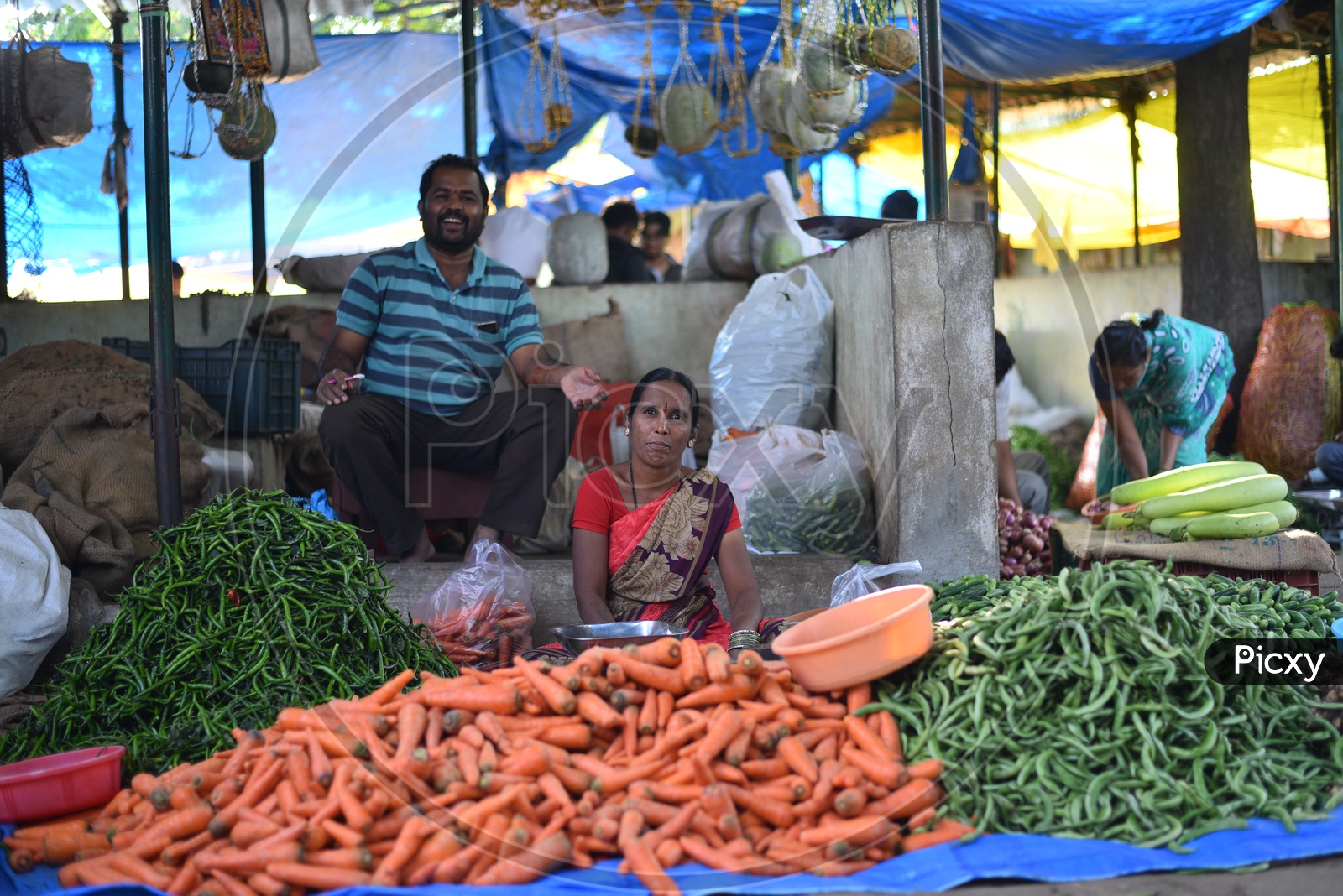 Image of Vegetable Seller at Local Market/Rythu Bazar-ZZ844429-Picxy