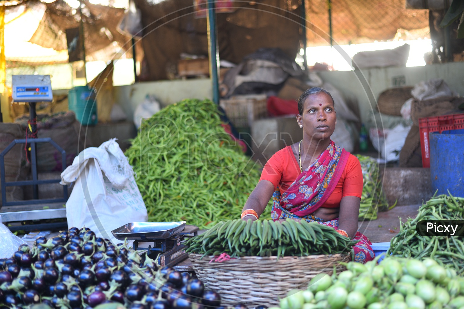 Image of Vegetable Seller at Local Market/Rythu Bazar-BE679696-Picxy