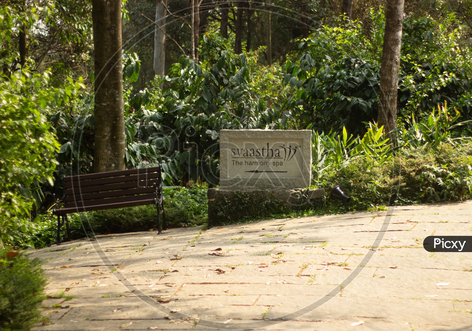 Image of Svaastha Name Board / Spa Resorts in Coorg / Madikeri-CR287298 ...