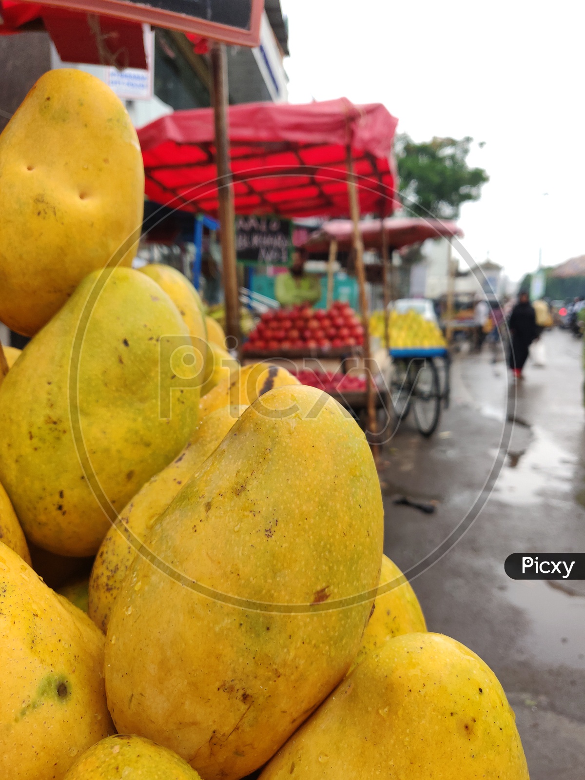 Image of Mango Fruit Vendors at Chowmahalla Palace-WK674012-Picxy