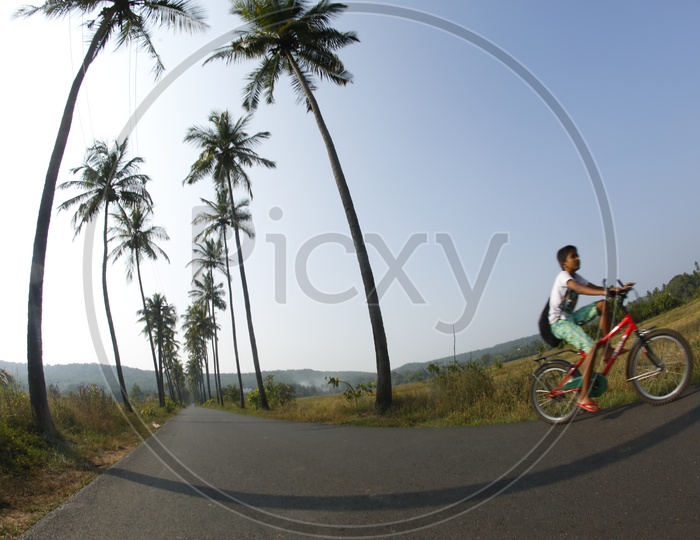 Image of Parra, A road between Coconut Trees in Goa famous location in ...