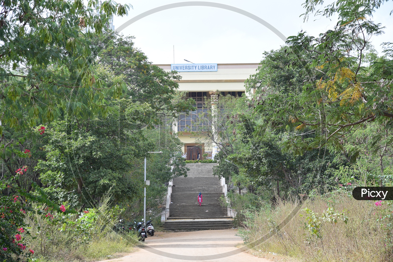 Image of University Library in Osmania University-EM431856-Picxy