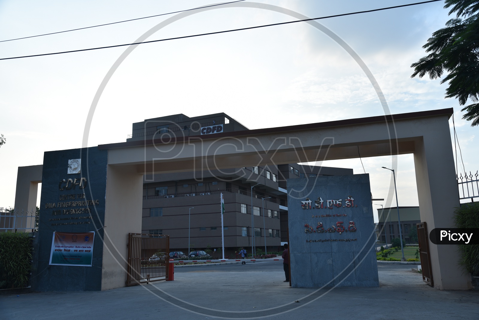 Image of Centre for DNA Fingerprinting and Diagnostics CDFD-LZ389414-Picxy