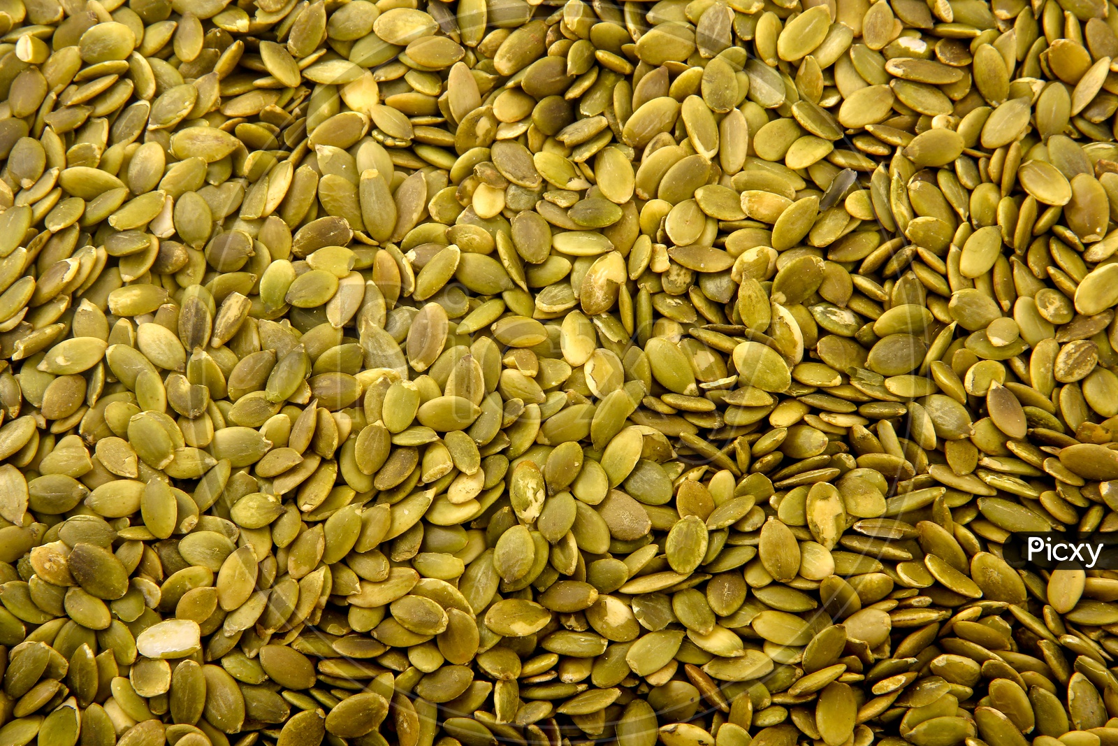 Image of Pumkin Seeds Composition Shot Forming a Background-DF164798-Picxy