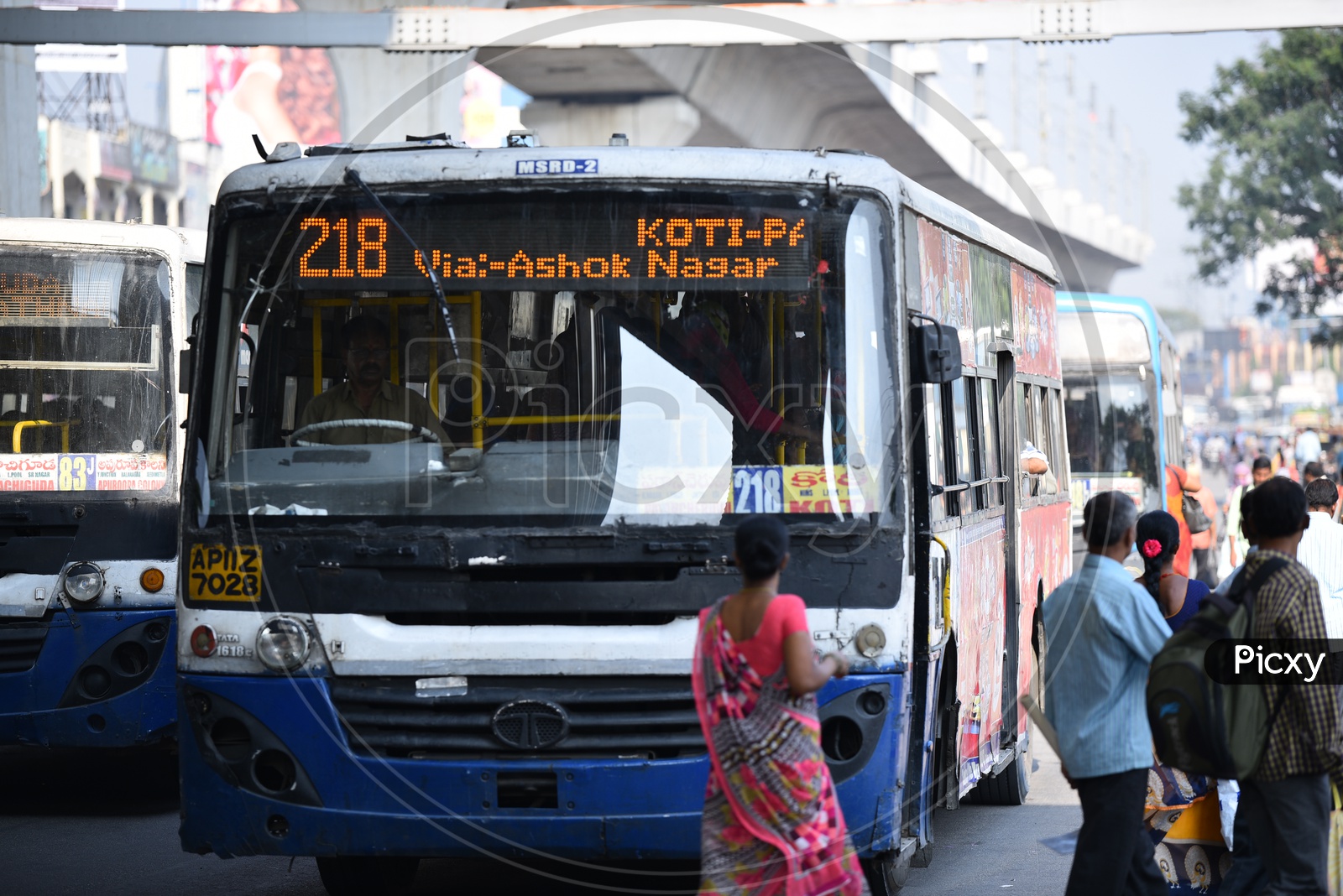 Image of Woman Getting into Bus-TZ772324-Picxy
