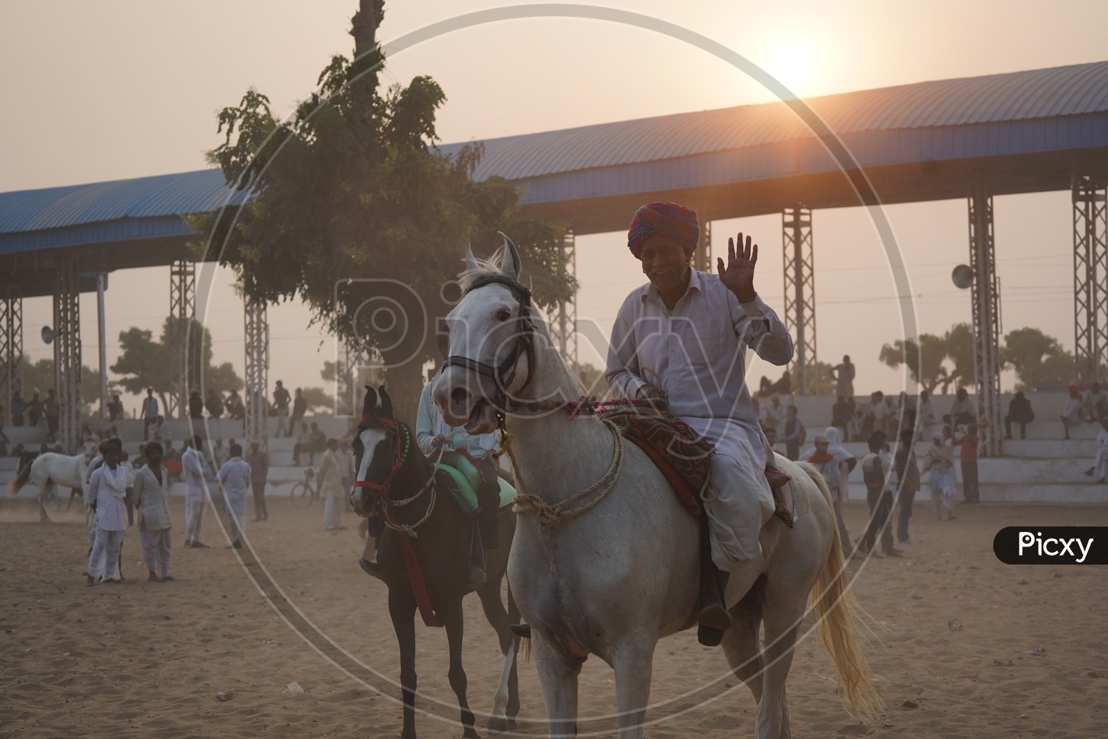 Image of Indian Village Horse Riders at Pushkar Cattle Fair Ground ...