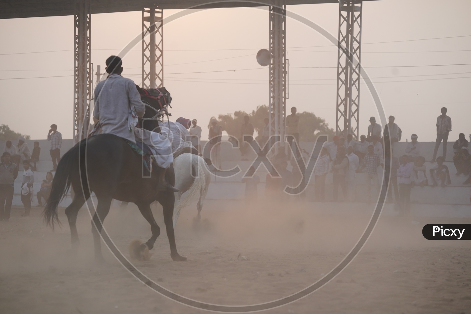 Image of Horse race traditional racing in Pushkar Camel Fair / Pushkar ...