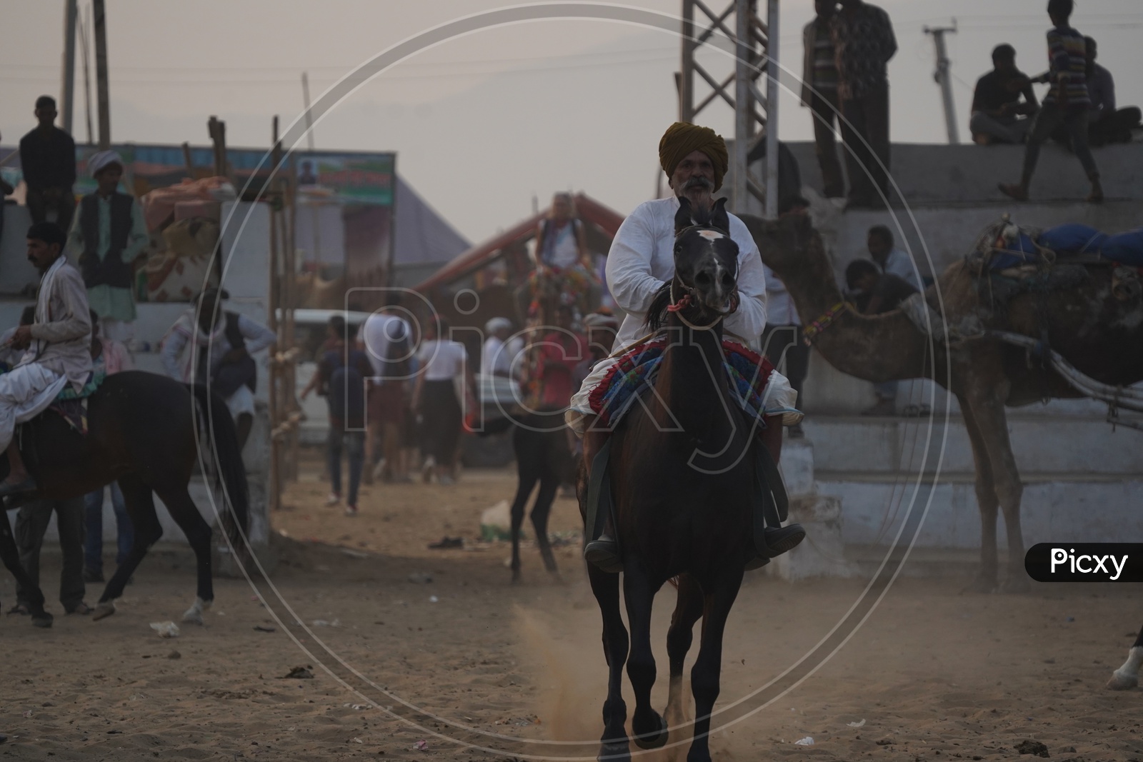 Image of Indian Village Horse Riders at Pushkar Cattle Fair Ground ...