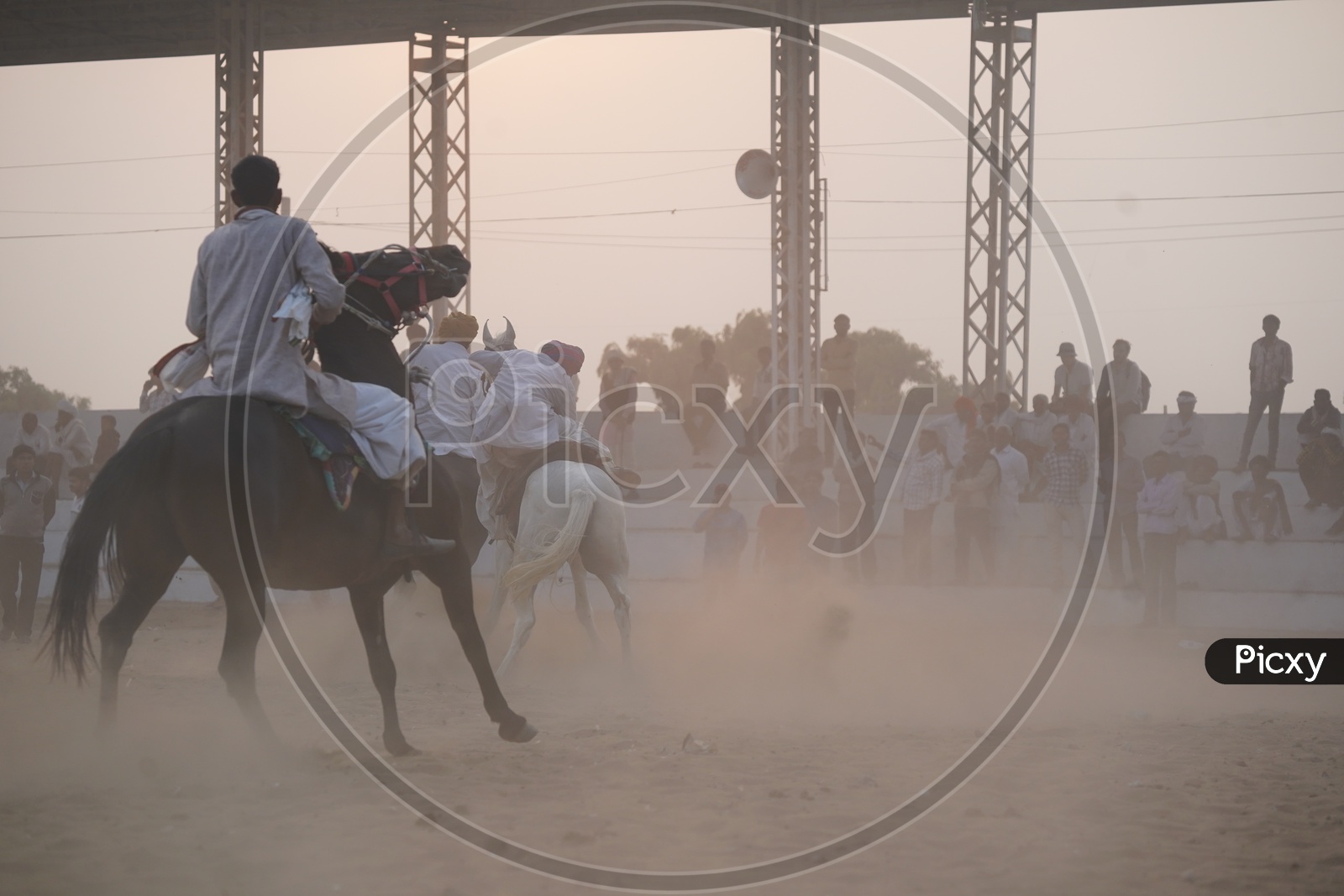 Image of Horse race traditional racing in Pushkar Camel Fair / Pushkar ...