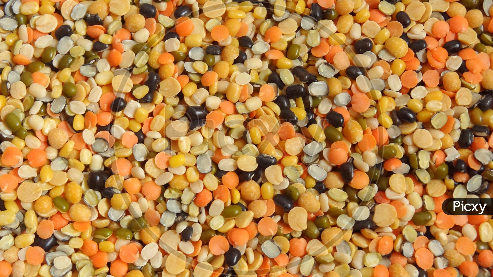 Image of Mixed lentils!-SY388377-Picxy