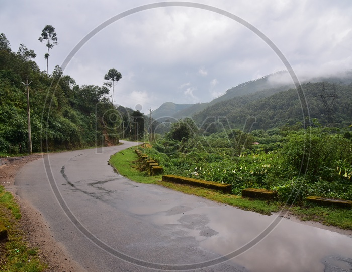 Image of Road Covered with Greenery in Munnar-RB174188-Picxy
