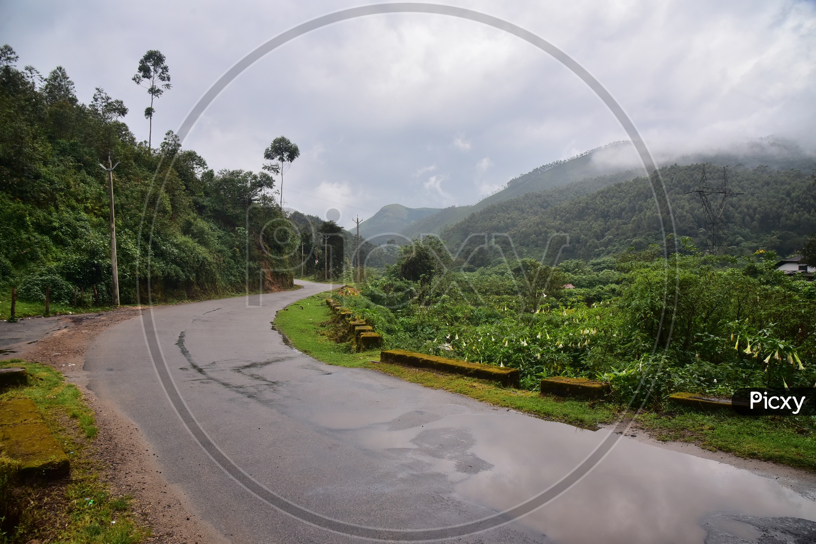 Image of Road Covered with Greenery in Munnar-RB174188-Picxy