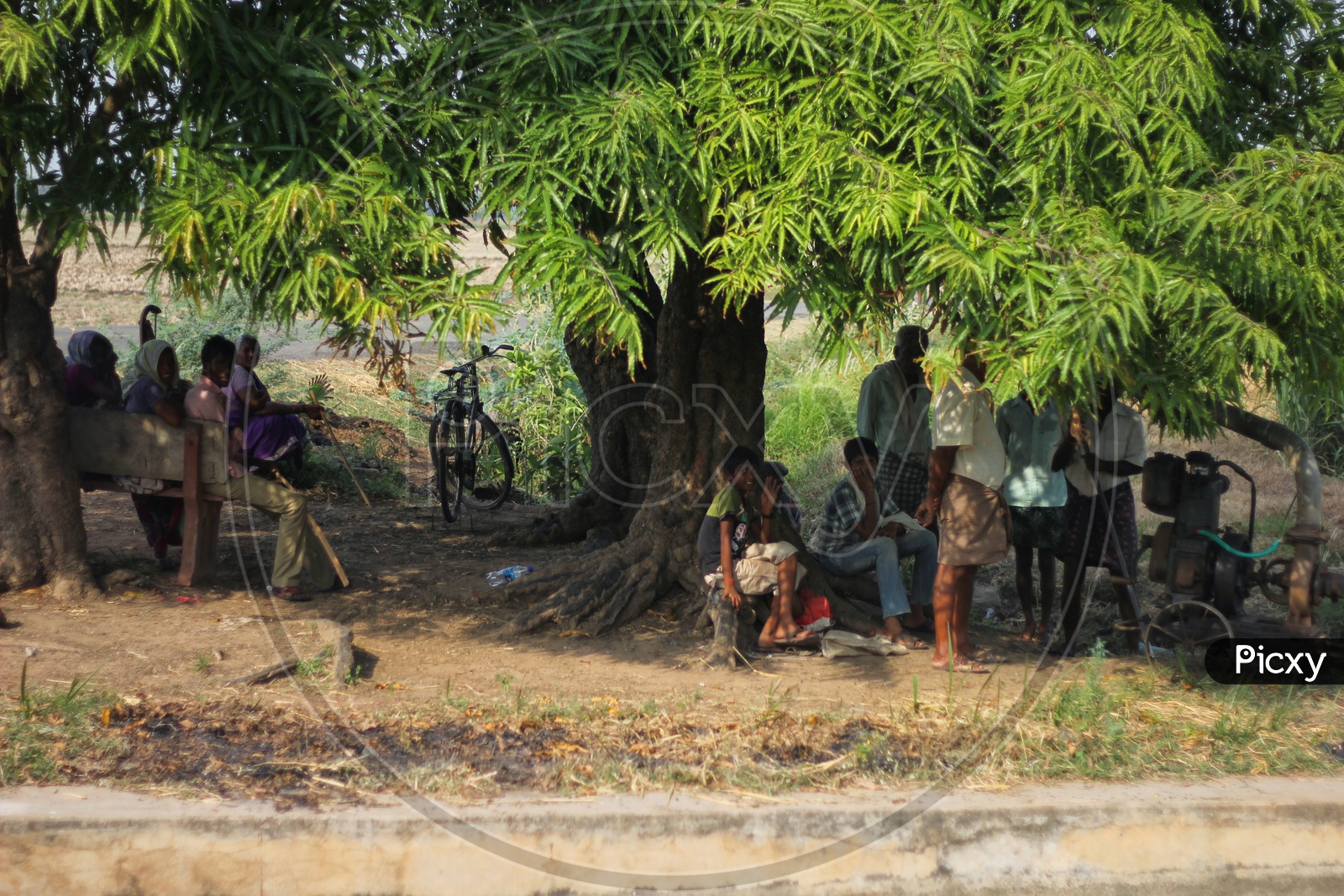 Image of Local People Sitting under a Tree and Talking with each Other ...