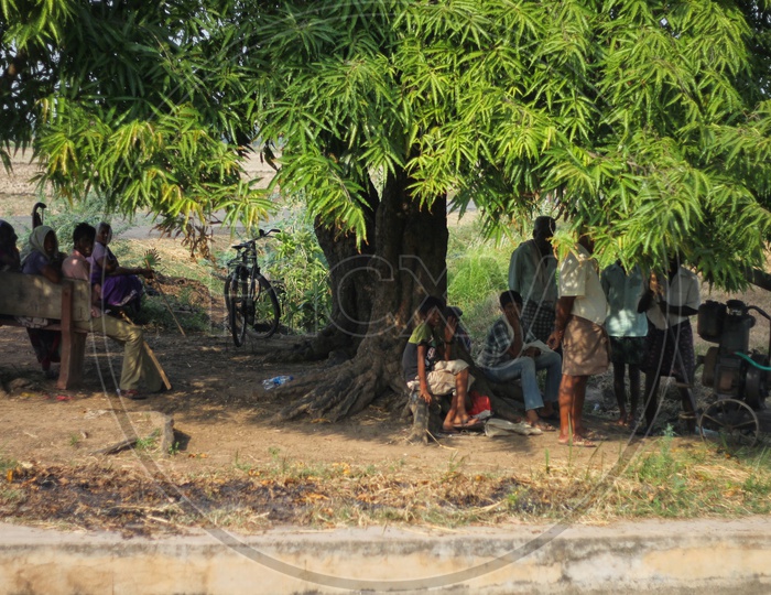 Image of Local People Sitting under a Tree and Talking with each Other ...