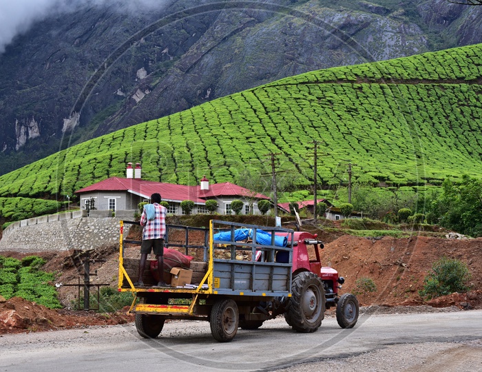 Image of Transporting Tea Bags in Lorry at Munnar Tea Plantations ...