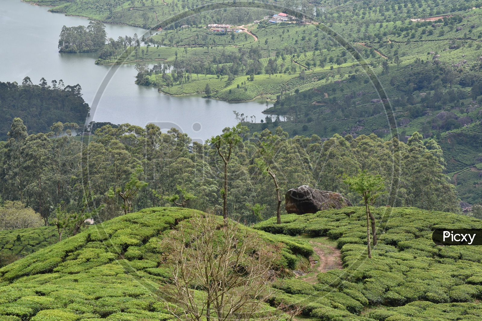 Image of Beautiful Landscape of Munnar mountains with river flowing ...