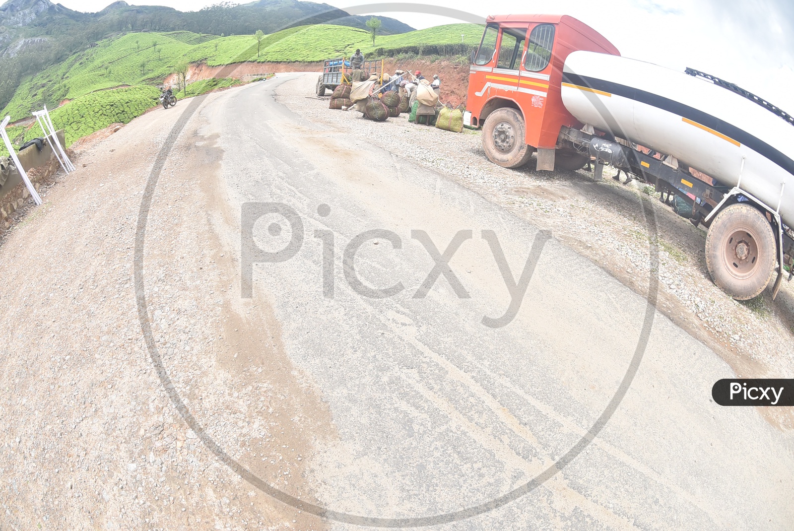 Image of Tea Plantation Workers Weighing The Harvested Tea Leaves and ...