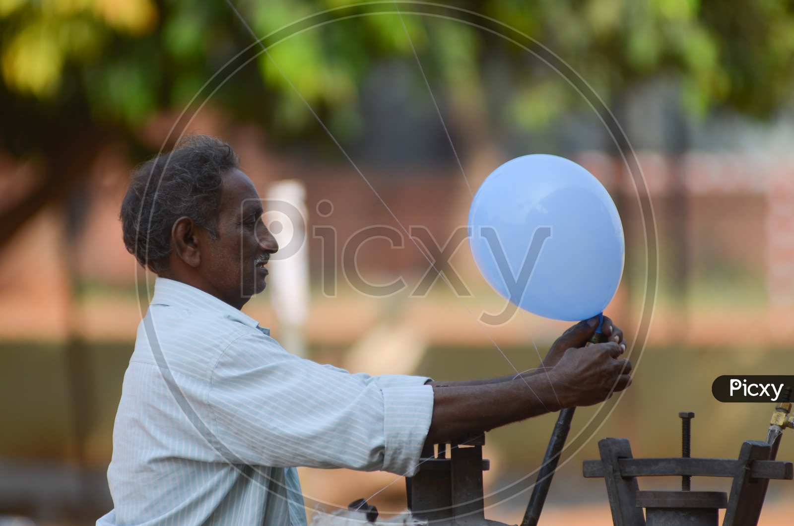 Image of Balloon maker, balloon seller, colorful balloons-OH929720-Picxy