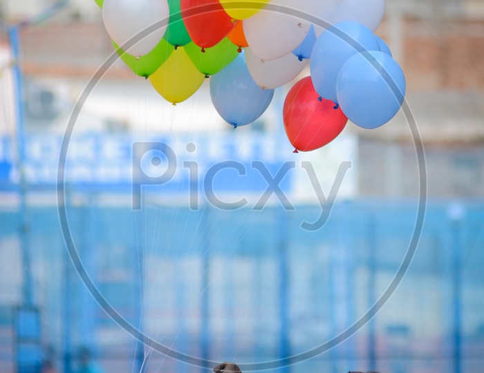 Image of Balloon maker, balloon seller, colorful balloons-AG398387-Picxy