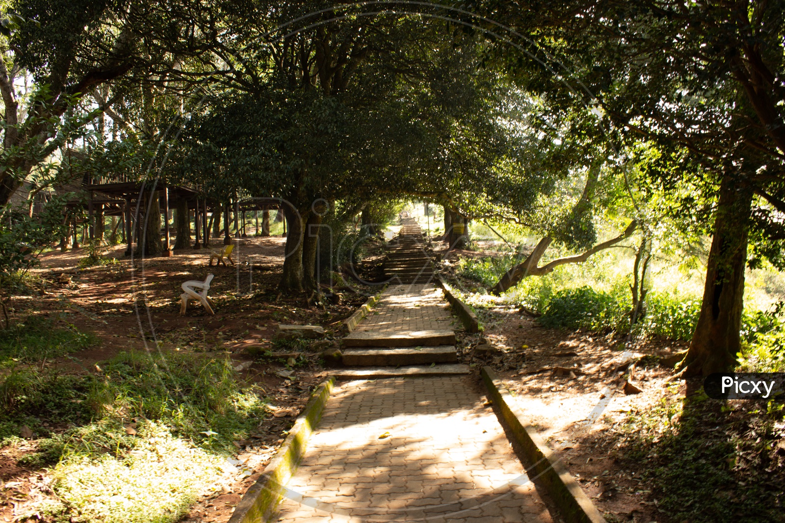 Image of Pathways Covered By Trees and Benches In a Local Park in Nandi ...