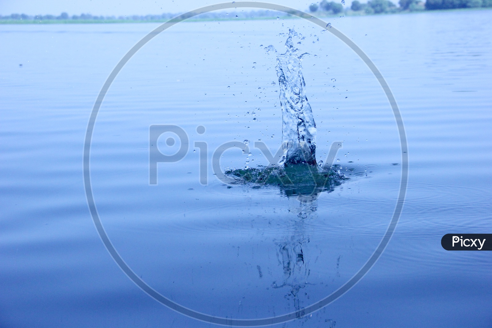 Image of Water splash in the lake-GD022579-Picxy