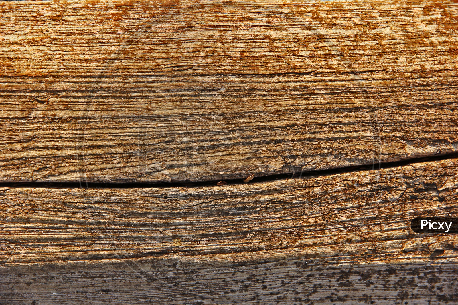 Image of A plank of a tree.-IG709786-Picxy