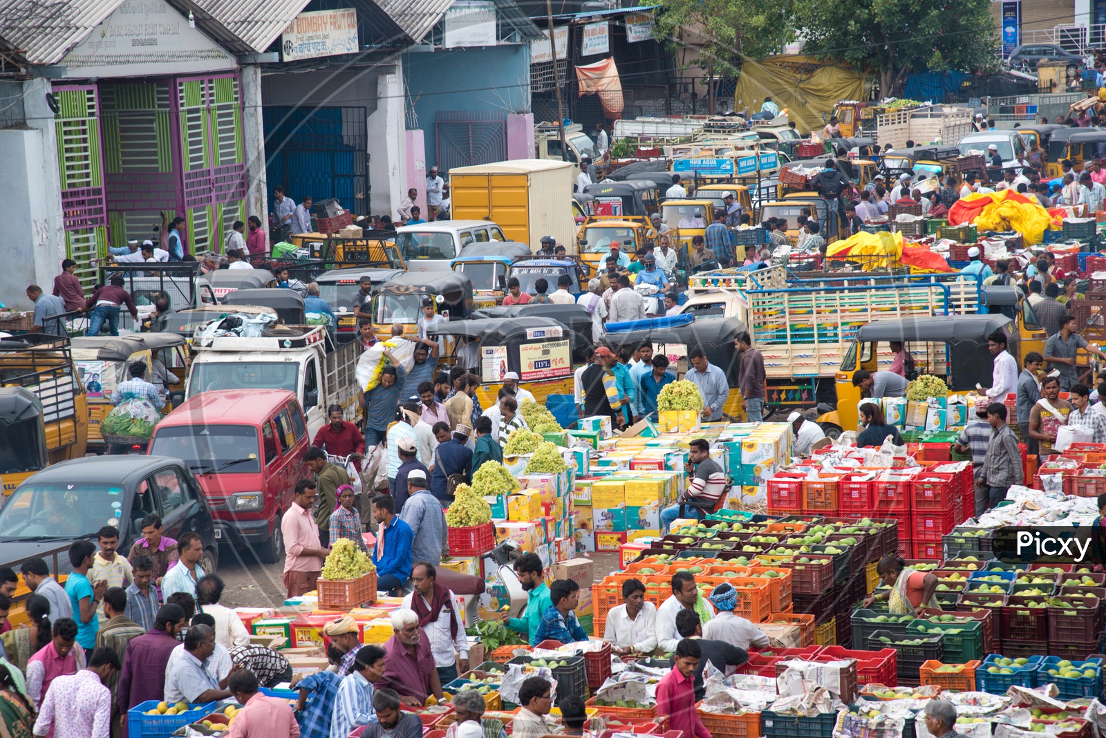 Image of busy Fruit market-IU302098-Picxy