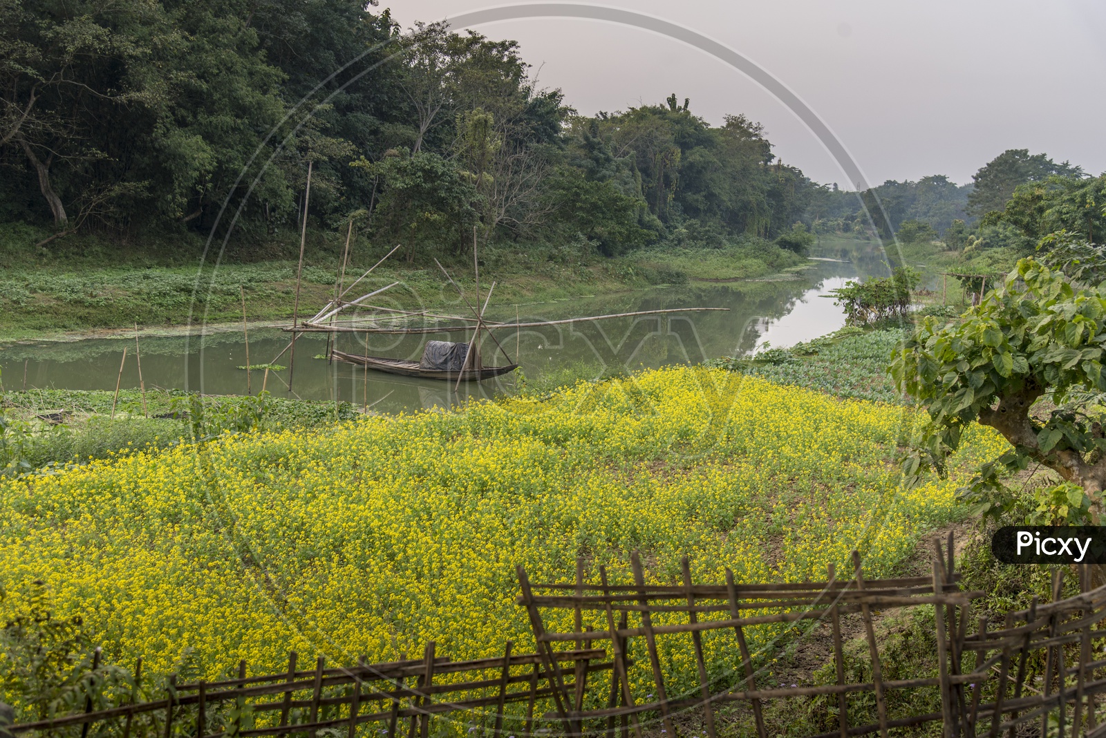 Image of Landscapes of Assam-FD257141-Picxy