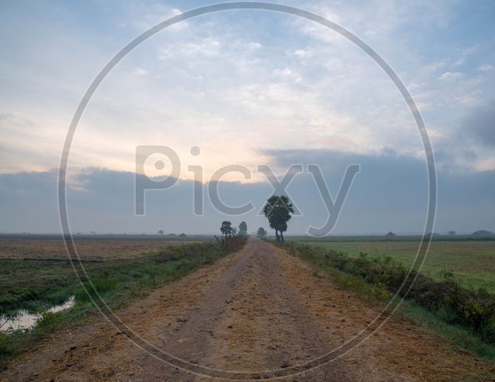 Image of Way to the fields-PO157381-Picxy