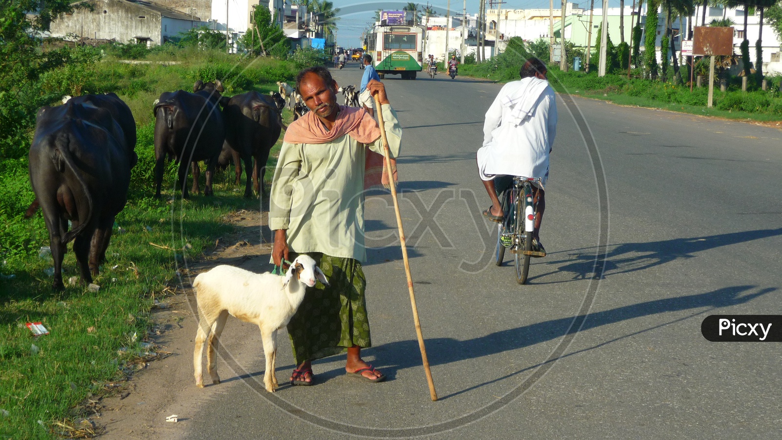 Image of Goat Keeper-ZV206122-Picxy