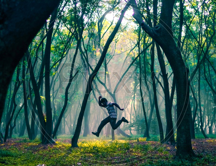 Image of jump in a forest-GZ991761-Picxy