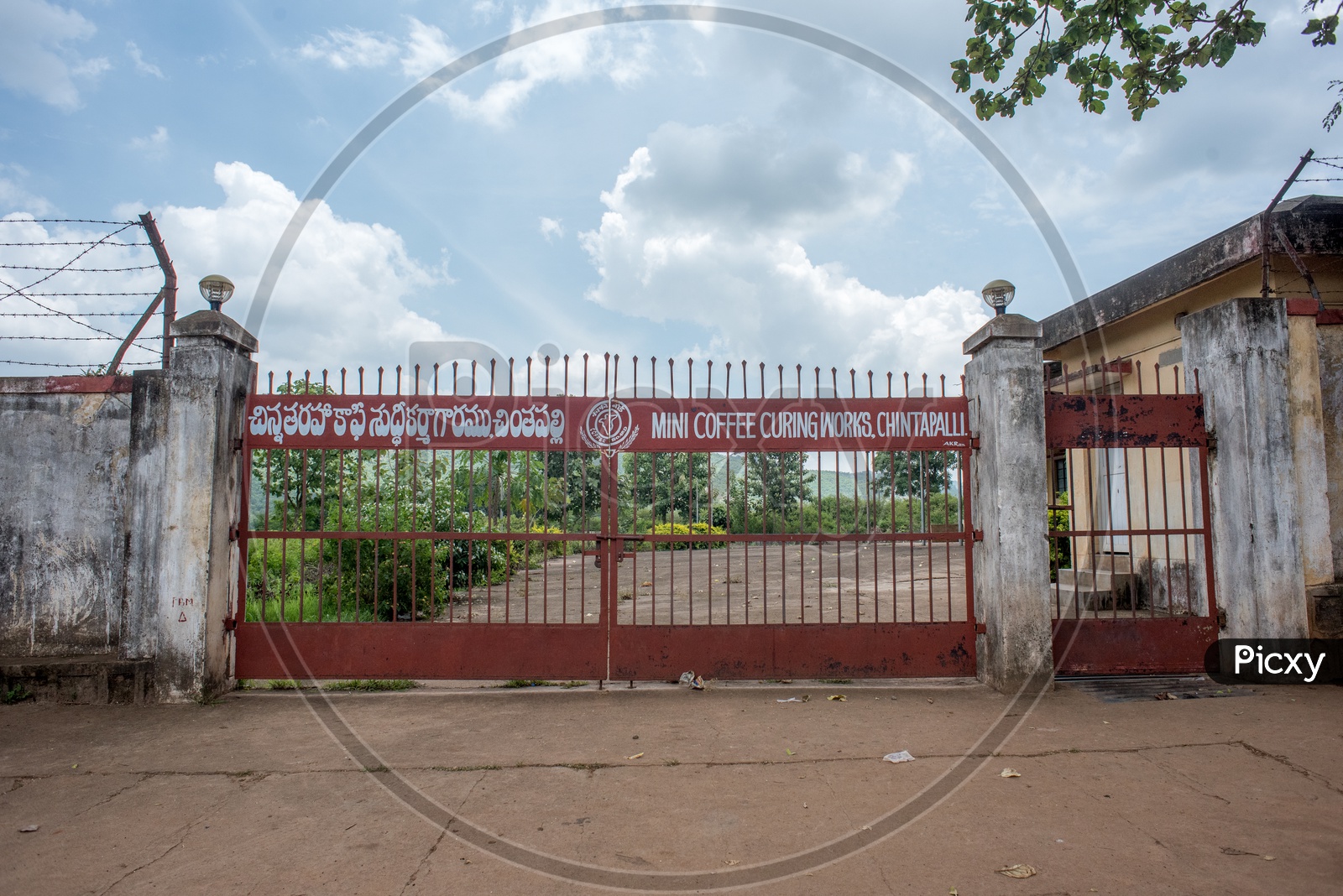 Image of Mini coffee curing works-RV708359-Picxy