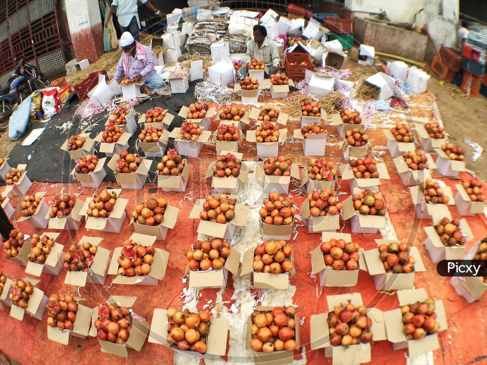 Image of Fresh Pomegranates/Fruit Market/Farmer's Market/Raithu Bazar ...