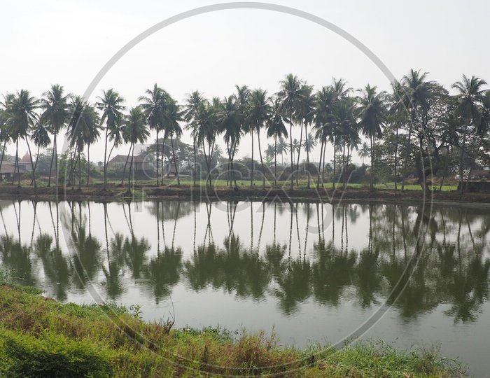 Image of Fishing Ponds near Bhimavaram-BV502224-Picxy