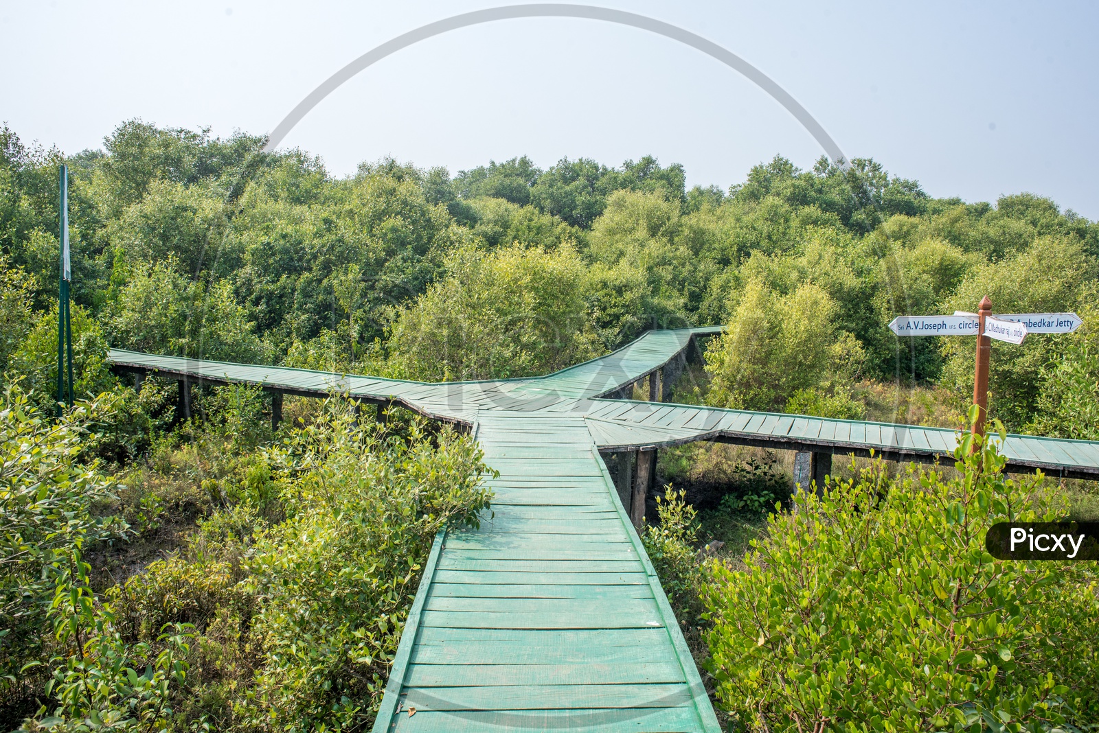 Image of coringa wildlife sanctuary-YS569805-Picxy