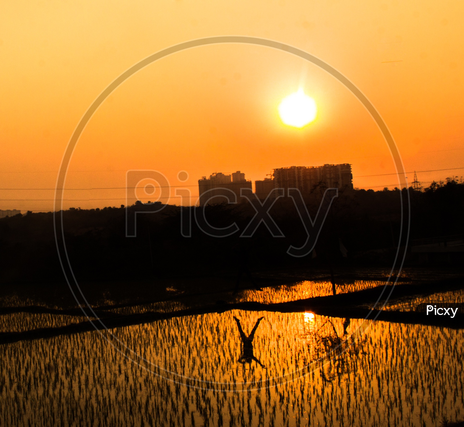 Image of Shadow in the dawn-AH004432-Picxy